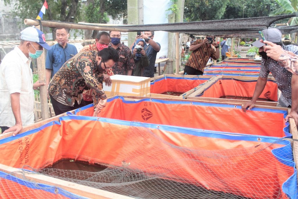 PIAT UGM Supports The Creation of Integrated Urban Farm System in ...