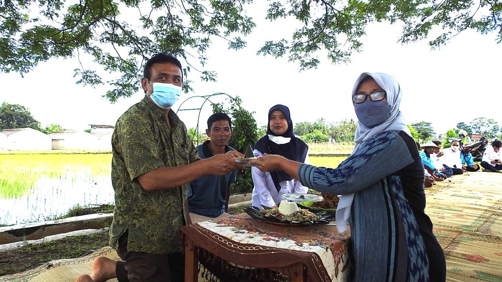 Melestarikan Budaya Jawa: Tradisi Wiwitan Masih Dilakukan di PIAT UGM ...